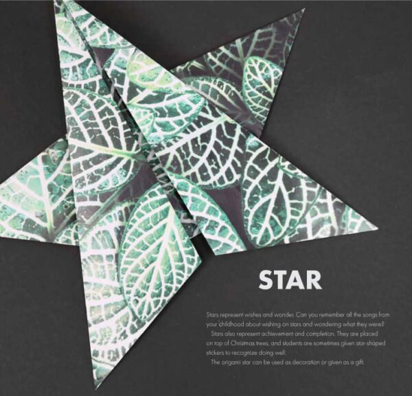 Mindful Origami - Exisle Publishing